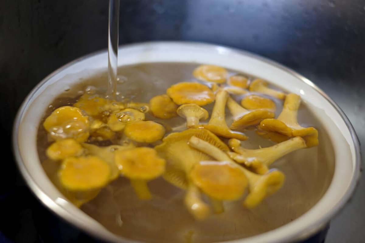 Pfifferlinge putzen: 5 Methoden (mit und ohne Wasser)