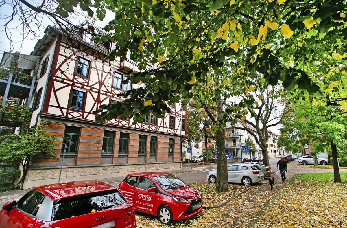 Herbst in Esslingen: Das muss man bei der Laubentsorgung beachten ...